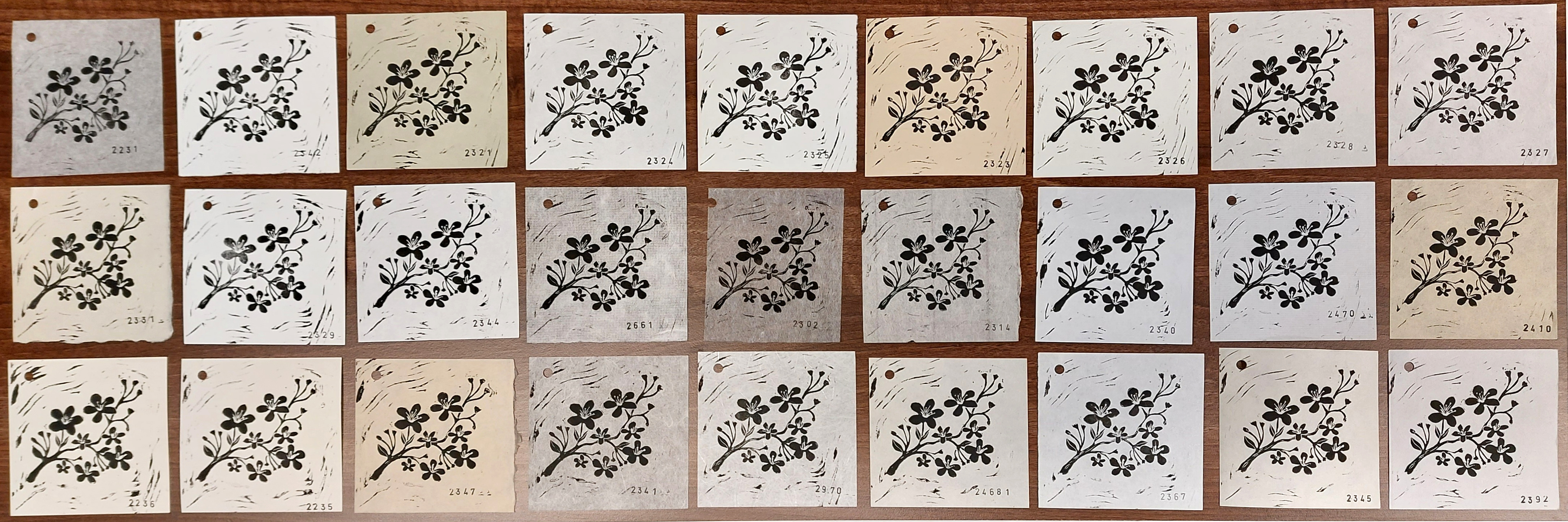 Testing and Comparing Japanese Printmaking Papers