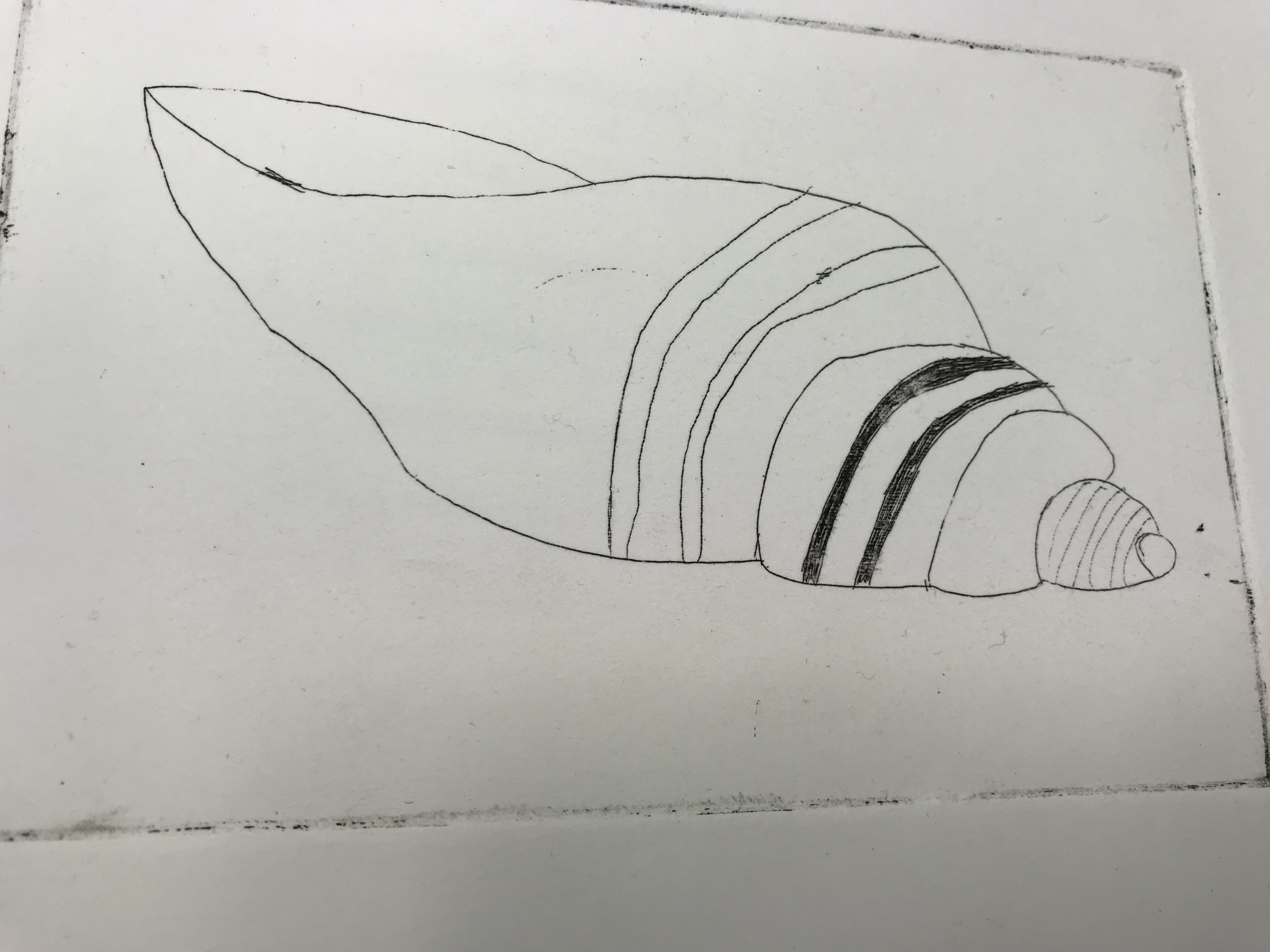 Beginner's Guide to Etching - Lawrence Art Supplies UK