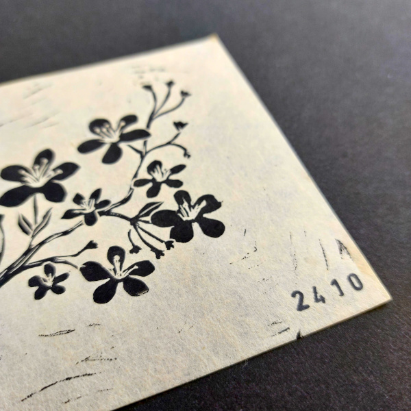 Testing and Comparing Japanese Printmaking Papers