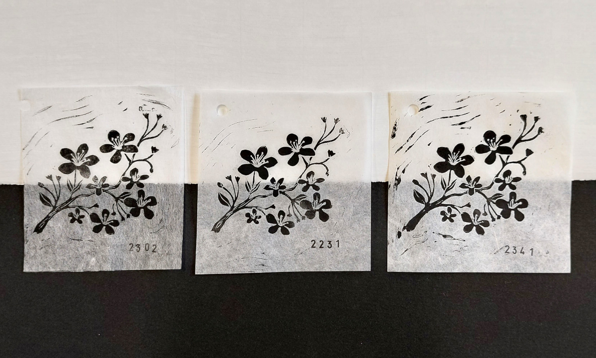 Testing and Comparing Japanese Printmaking Papers