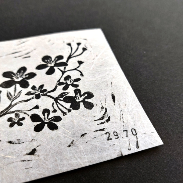 Testing and Comparing Japanese Printmaking Papers